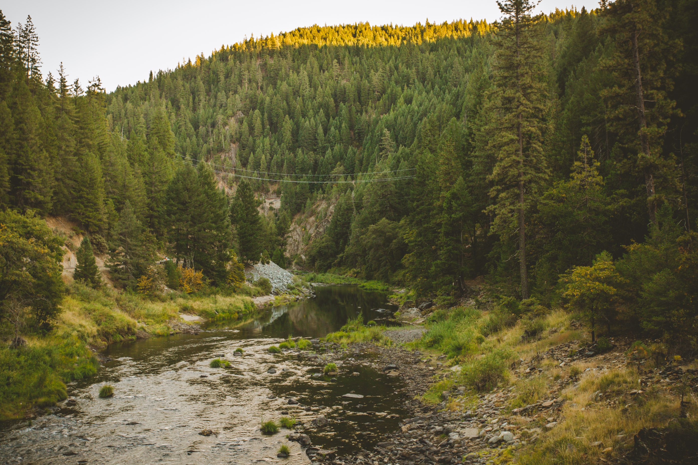 Gallery - Paxton Lodge